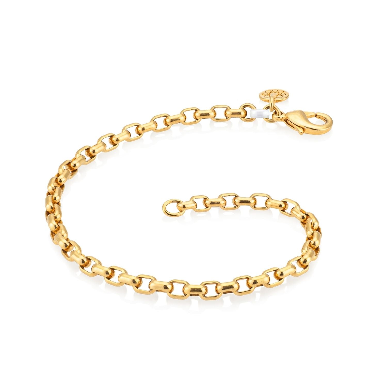 Luna Link - EMF Bracelet – Life Harmony Energies
